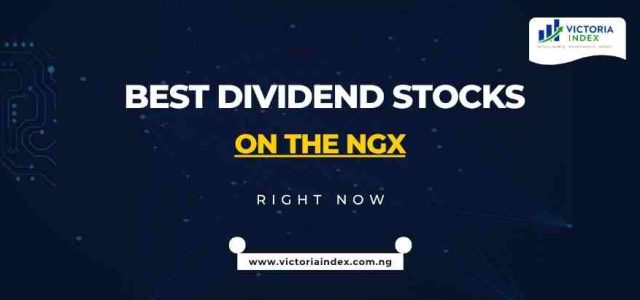 Best Dividend Stocks on the NGX Right Now - Victoria Index